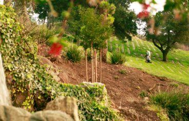 Cemetery - Sunset View Mortuary