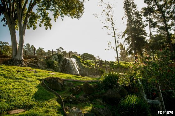 Choosing a Cemetery: Six Essential Questions to Consider - Sunset View ...